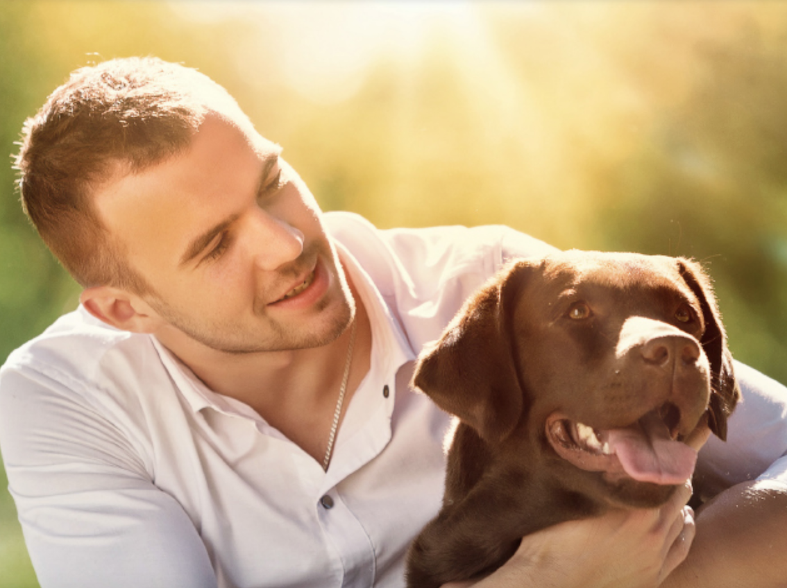 Dietary Advice For A Critically Ill Dog McDowell s Herbal Treatments